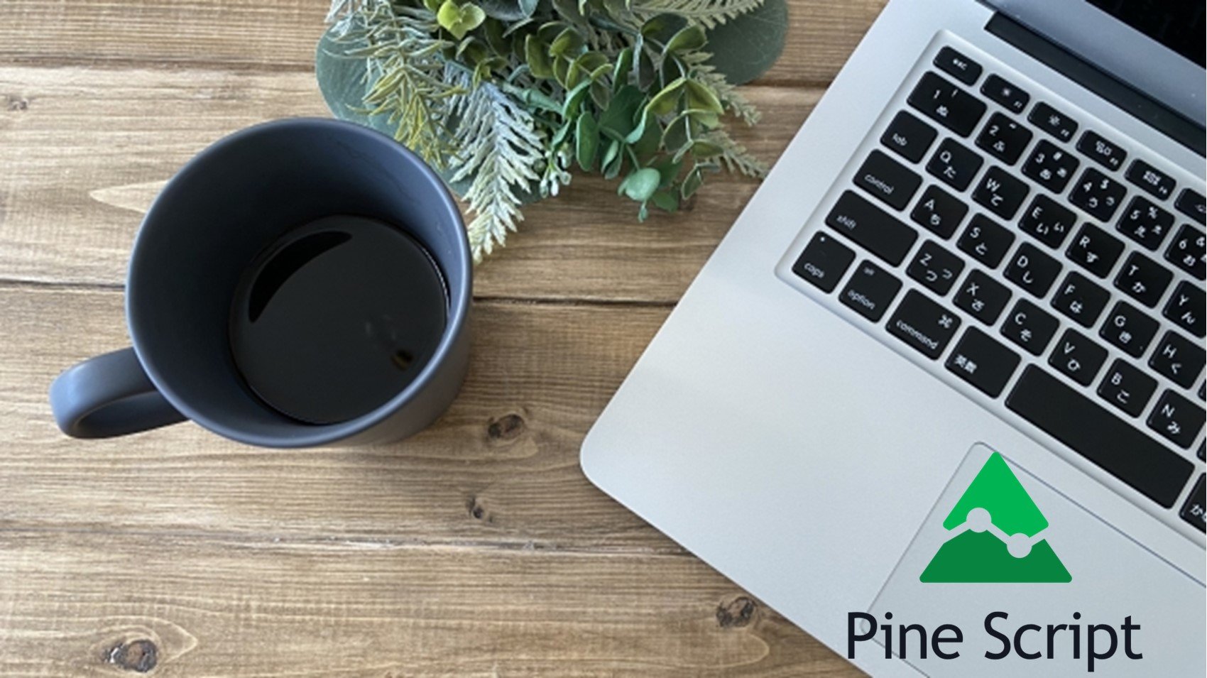 【TradingView】 Pine Script チュートリアル — ピプとれ ～FXトレード～